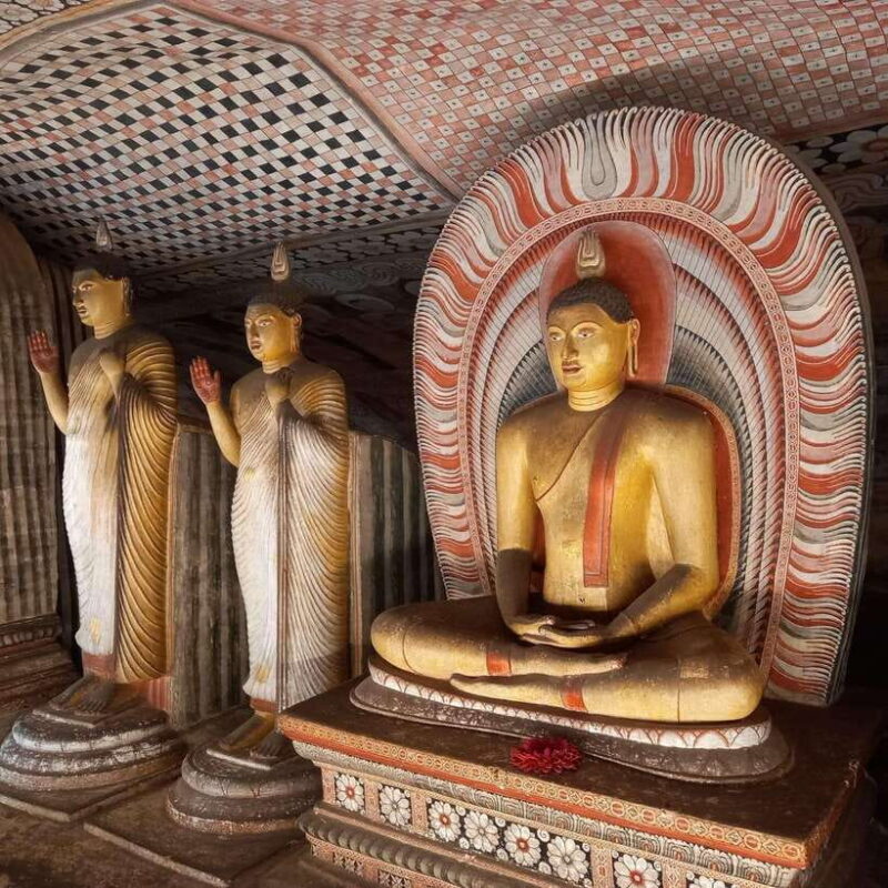 From Colombo: Sigiriya & Dambulla excursion with a Safari - Experiencing Local Life at a Traditional Village