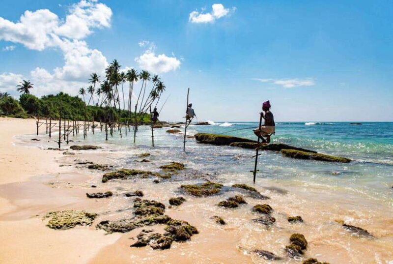 From Colombo to Galle Fort and Jungle Beach Day Trip - Who Will Love This Tour?