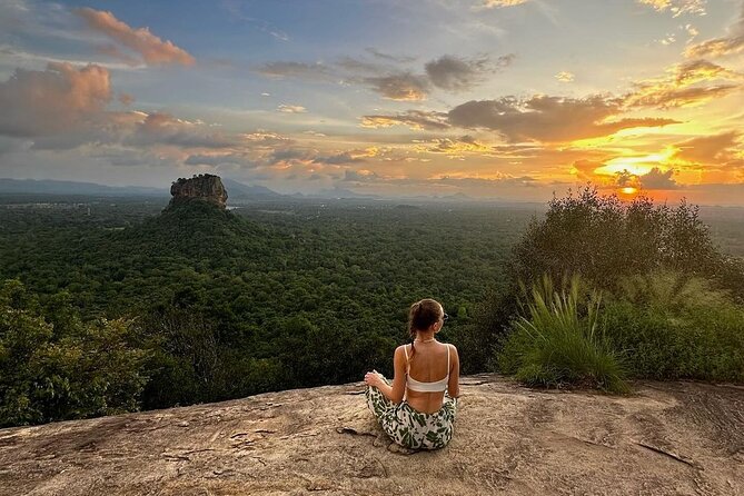 From Colombo to Sigiriya Fortress, Dambulla & Minneriya Safari - What to Expect in Terms of Experience