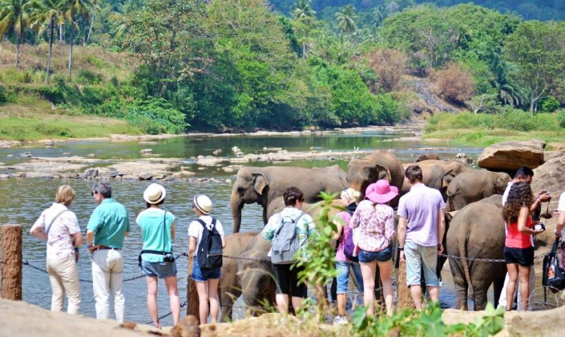 From Colombo to Yala 6-Day Private Trip with 21-Sites - Tea Plantations and Nuwara Eliya’s Charm