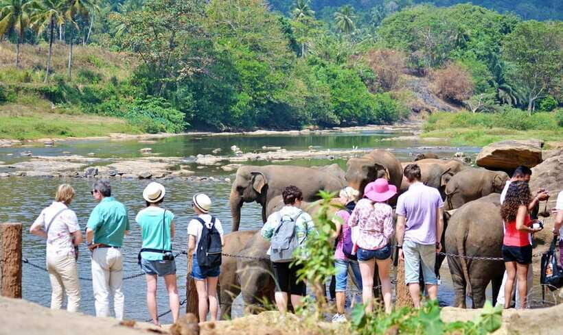 From Colombo to Yala 6-Day Private Trip with 21-Sites - Relaxing on the West Coast Beaches