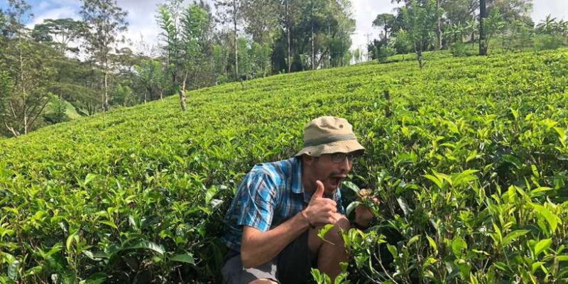 From Colombo: Virgin White Tea and Galle City Tour - From Colombo: Virgin White Tea and Galle City Tour – A Practical Guide for Curious Travelers
