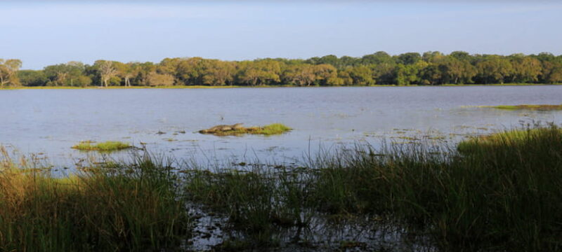 From Colombo: Wilpattu National Park Safari - The Practical Details