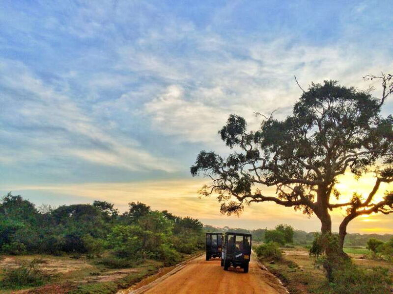 From Colombo: Yala and Ella 2-Day Tour with Jeep Safari - The Value and Overall Impression