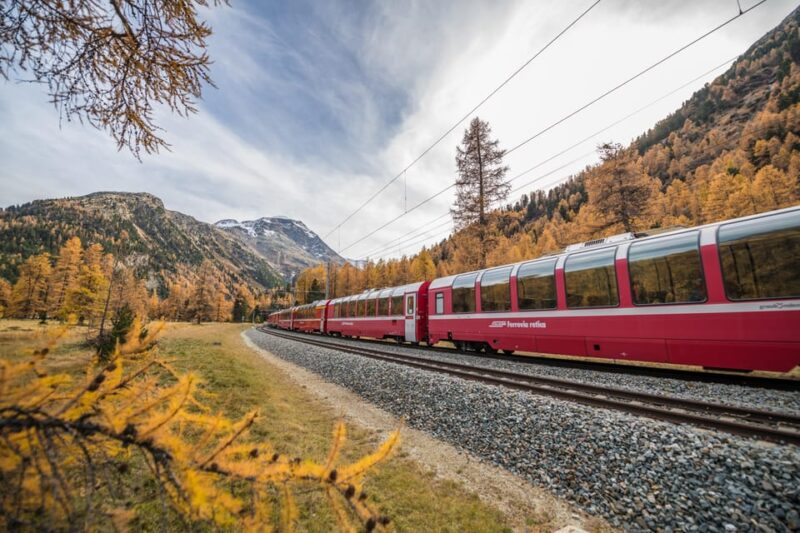 From Como: St. Moritz and Tirano Trip With Bernina Express - Customer Feedback and Ratings