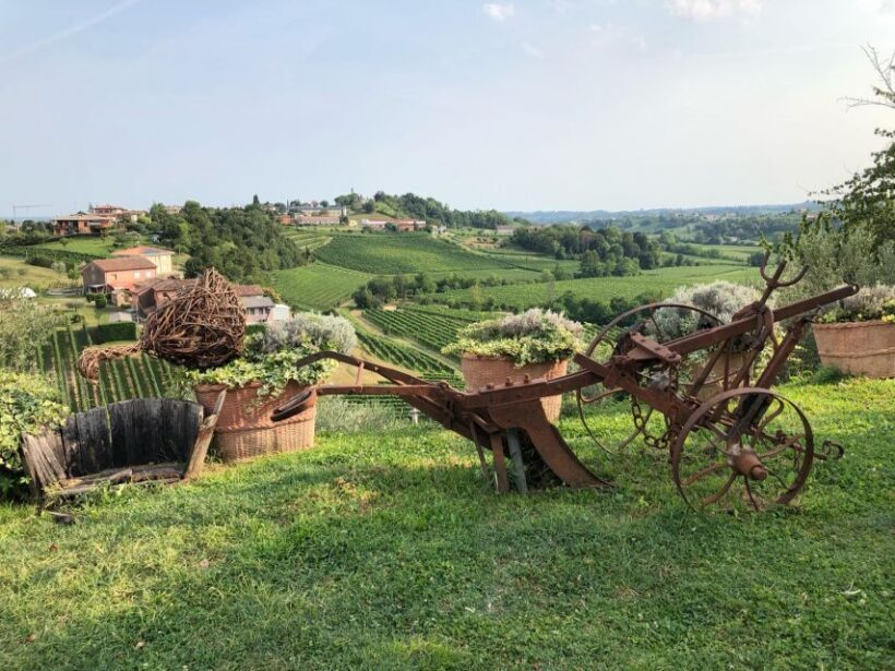 From Conegliano: Prosecco Hills Wine and Cheese Tasting Tour - Key Points