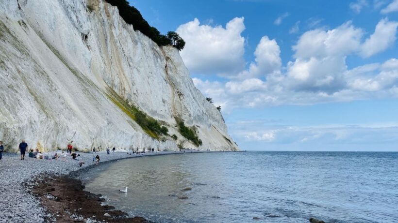 From Copenhagen: Round-Trip to Møns Klint and Forest Tower - The Bottom Line: Who Will Love This Trip?