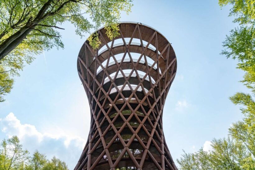 From Copenhagen: Round-Trip to Møns Klint and Forest Tower - FAQ: Your Practical Questions Answered