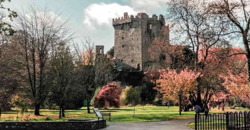 From Cork: County Cork Highlights Tour with Entrance Tickets - Key Points