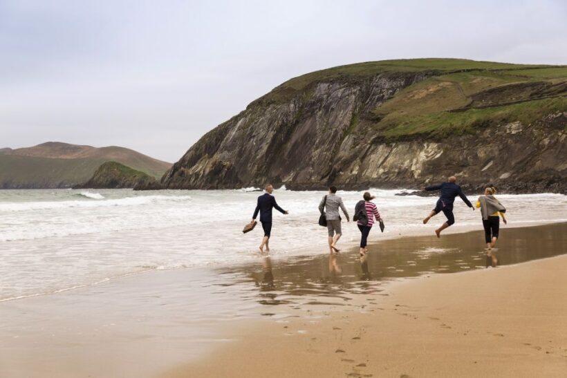 From Cork: Full-Day Guided Tour to Dingle Peninsula - Final Thoughts