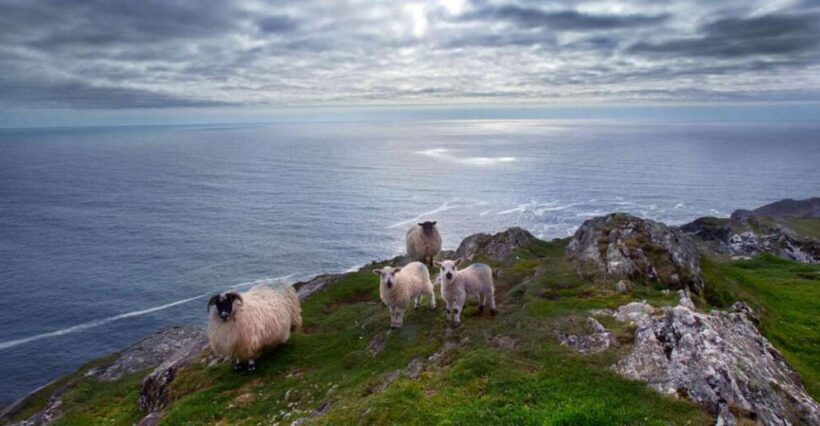 From Cork: Guided Full-Day West Cork to Mizen Head Tour - The Itinerary in Detail: What You Can Expect