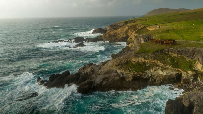 From Cork: Ring of Kerry & Killarney Guided Full Day Tour - Key Points