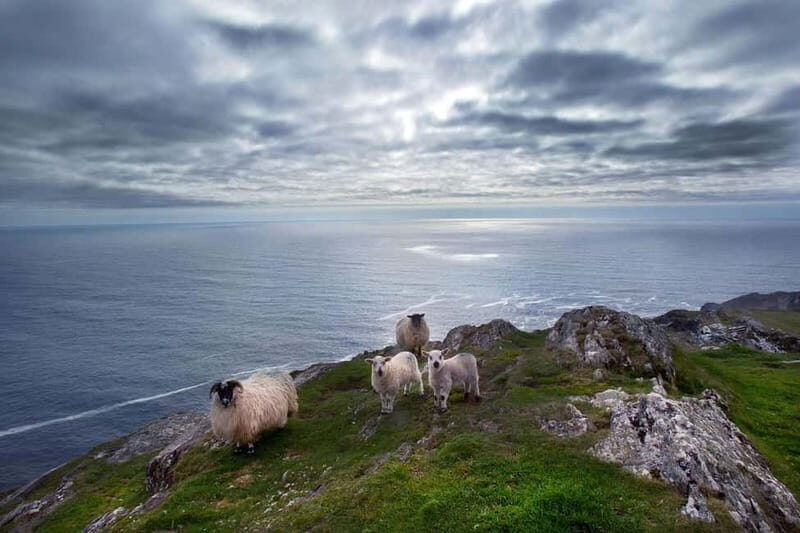 From Cork: West Cork to Mizen Head Guided Full Day Tour - An Authentic Journey through West Cork