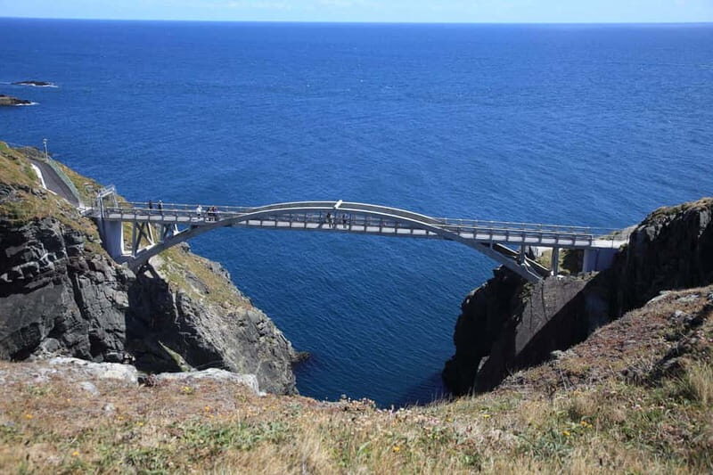 From Cork: West Cork to Mizen Head Guided Full Day Tour - What’s the Value?