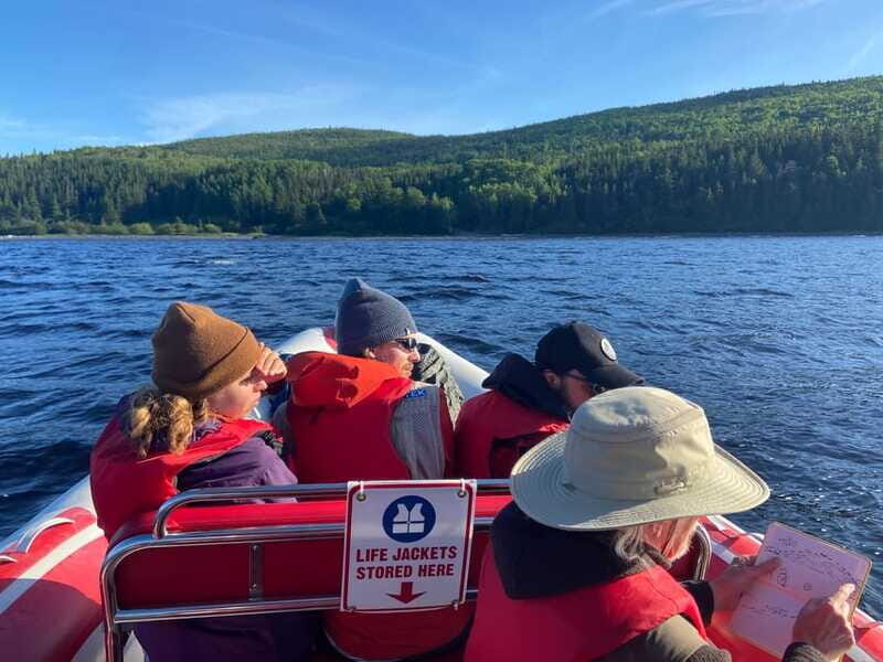 From Corner Brook : Bay Of Islands Island Zodiac Boat Tour - Who Will Enjoy This Tour?