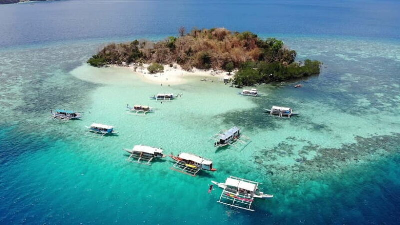 From Coron: Island Hopping Boat Day Trip with Buffet Lunch - Key Points
