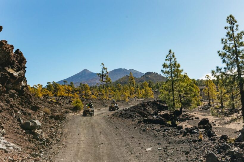 From Costa Adeje: Mount Teide Forest Off-Road Quad Bike Tour - An Overview of What to Expect