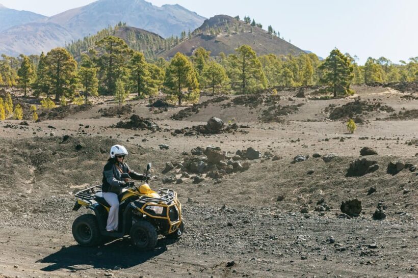 From Costa Adeje: Mount Teide Forest Off-Road Quad Bike Tour - What Makes This Tour Stand Out
