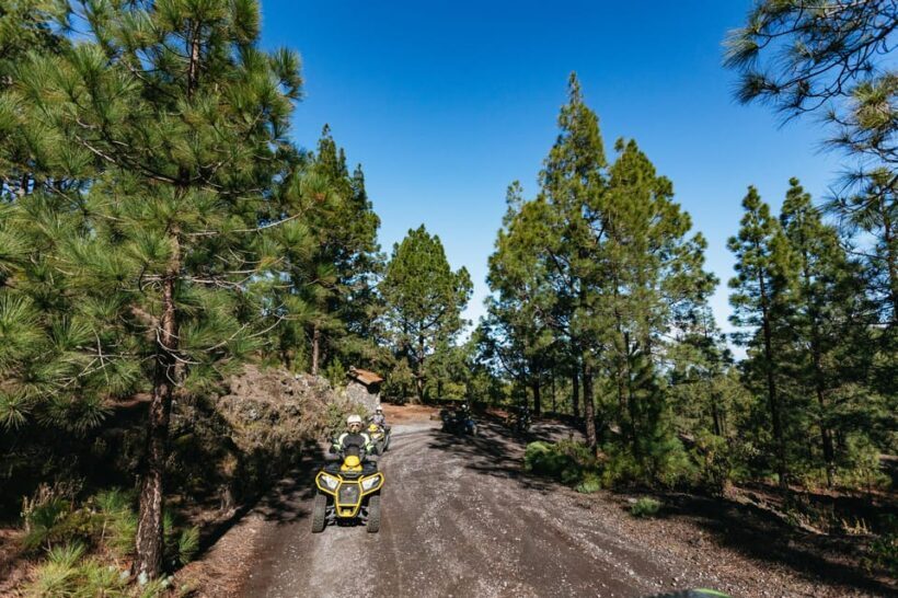From Costa Adeje: Mount Teide Forest Off-Road Quad Bike Tour - The Sum Up