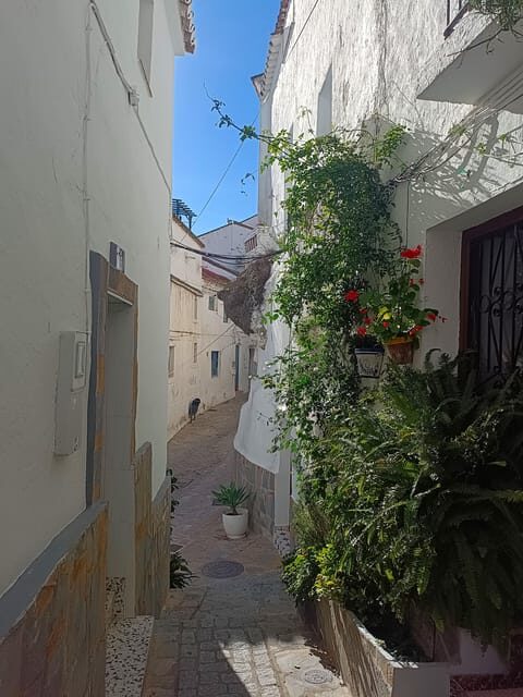 From Costa del Sol: Casares Private Tour - A Complete Look at the Tour