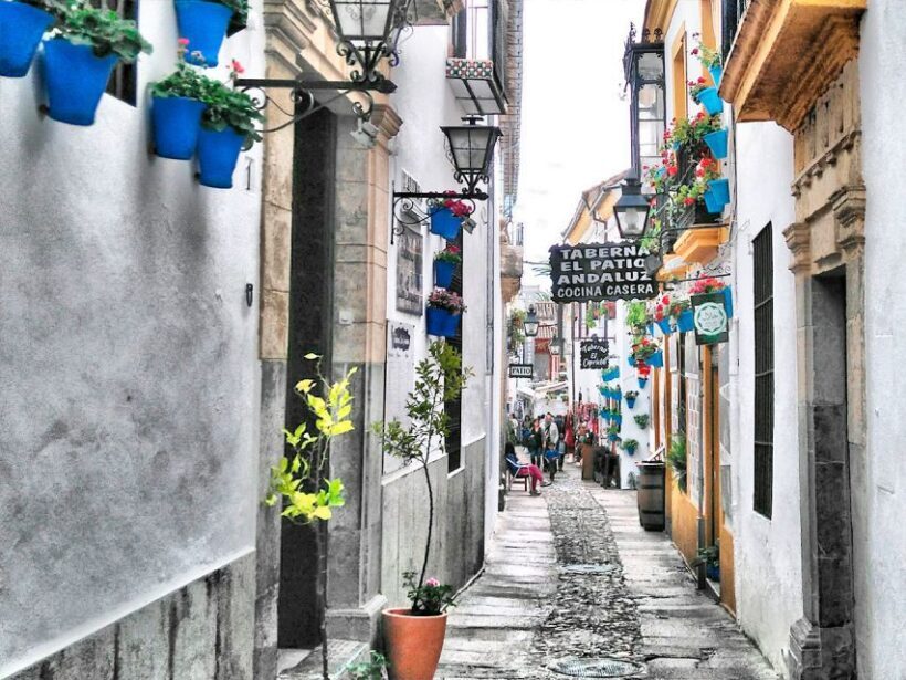 From Costa del Sol: Day Trip to Cordoba Free Time - Key Points