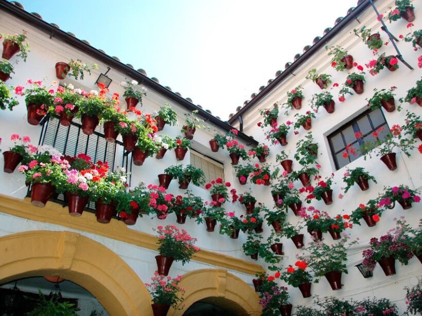 From Costa del Sol: Day Trip to Cordoba Free Time - What to Expect From This Córdoba Day Trip