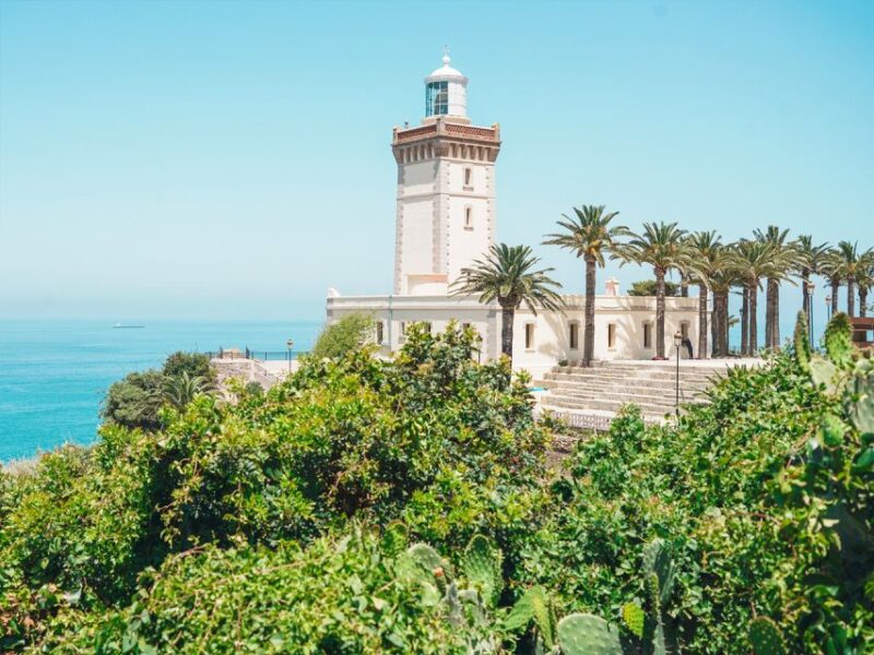 From Costa del Sol: Discover Tangier on a Guided Day Trip - The Value of This Tour