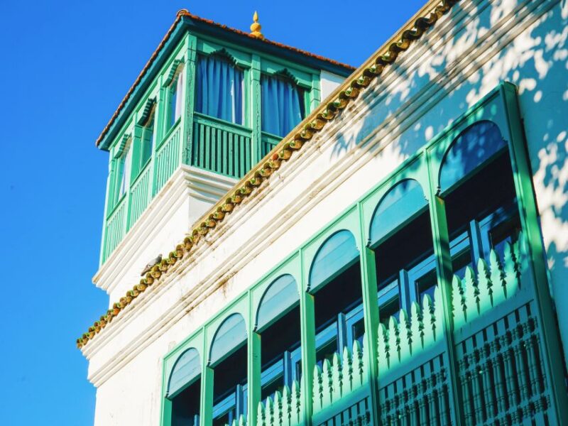 From Costa del Sol: Discover Tangier on a Guided Day Trip - Who Will Love This Experience?