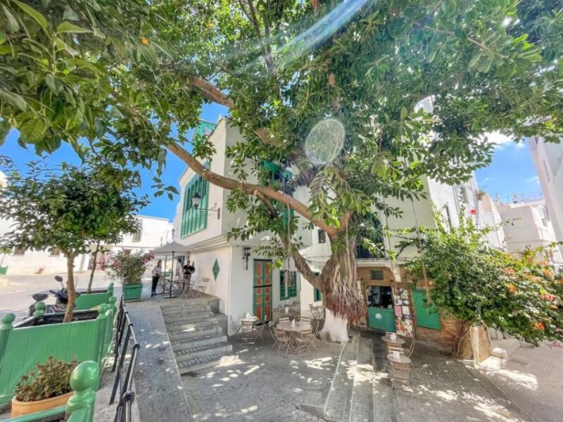 From Costa del Sol: Discover Tangier on a Guided Day Trip - Frequently Asked Questions