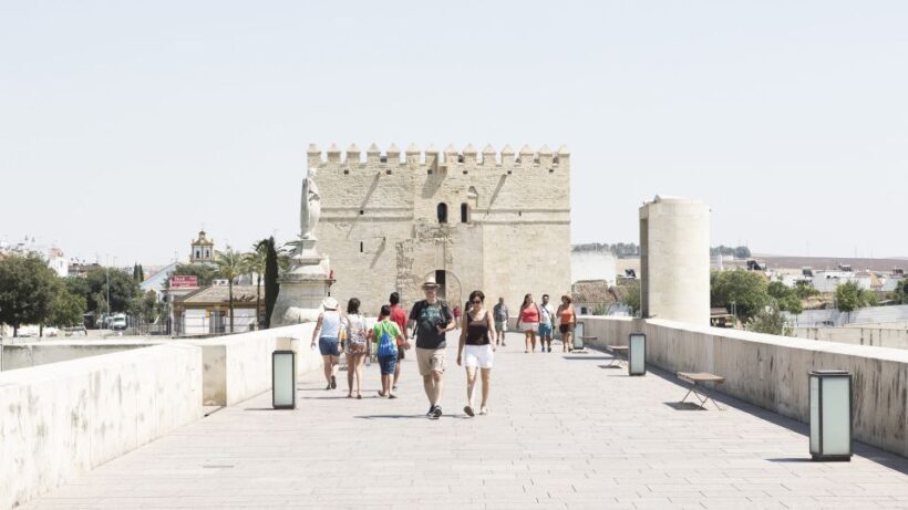 From Costa del Sol & Malaga: Cordoba Guided Day Tour - Key Points