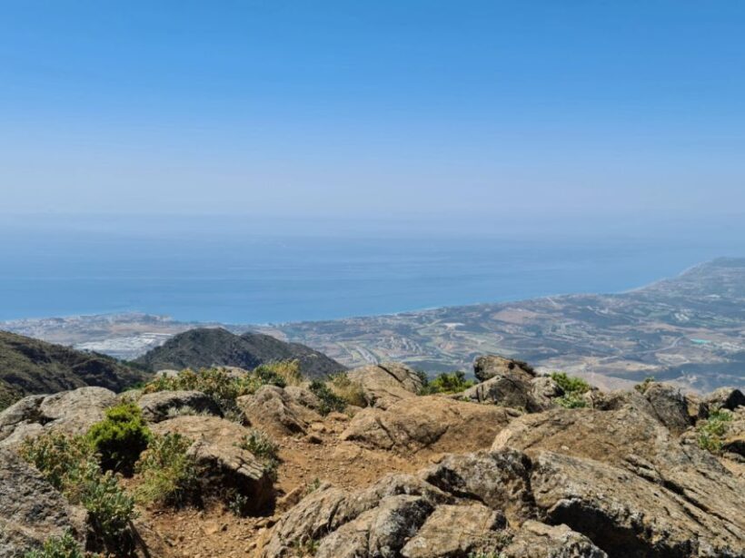From Costa del Sol: Sierra Bermeja Private Hiking Tour - Key Points