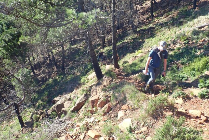 From Costa del Sol: Sierra Bermeja Private Hiking Tour - An In-Depth Look at the Sierra Bermeja Private Hiking Tour