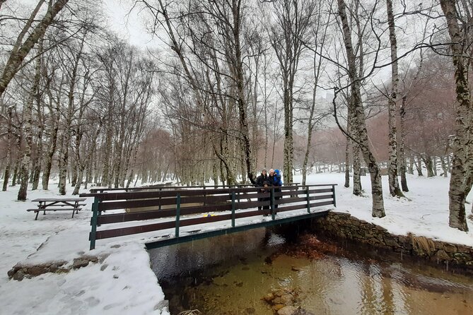 From Covilhã: Serra da Estrela and Covão d'mede Tour - Introduction: Why This Tour Is Worth Considering