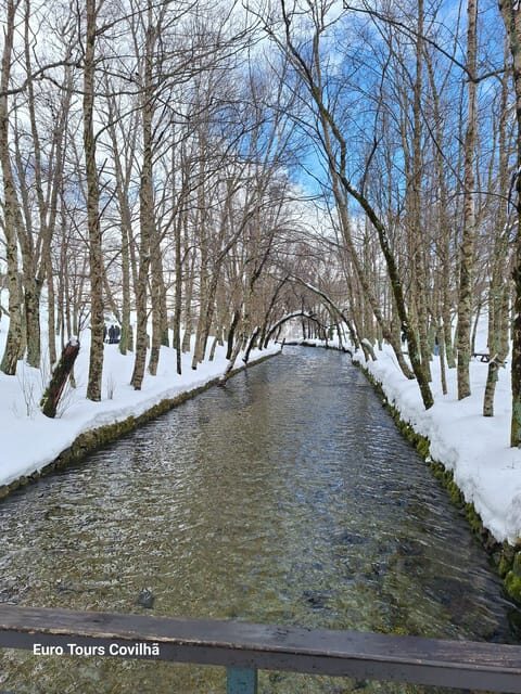 From Covilhã: Serra da Estrela Guided Tour with Lunch - Why Travelers Love This Tour
