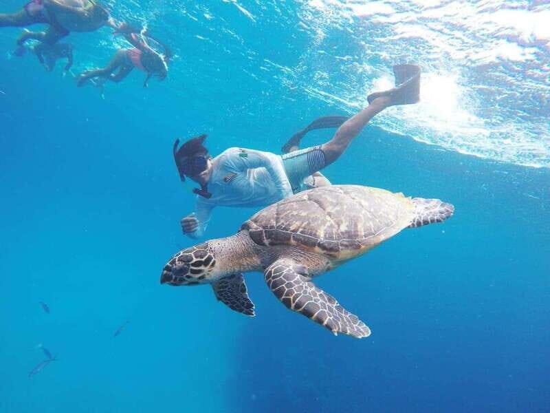 From Cozumel: 3 Reefs Boat Tour with Drinks and Snorkeling - Key Points