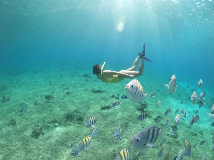 From Cozumel: 3 Reefs Boat Tour with Drinks and Snorkeling - The Marine Experience