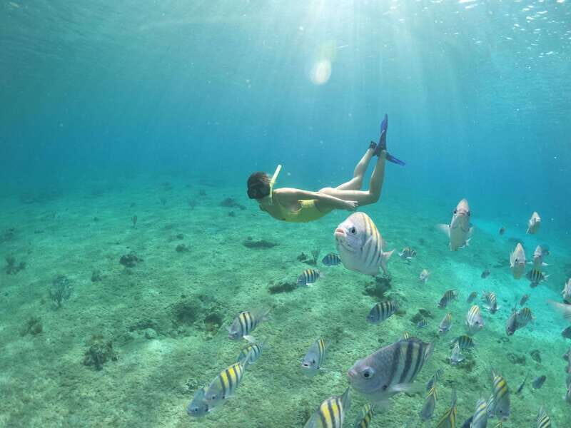 From Cozumel: 3 Reefs Boat Tour with Drinks and Snorkeling - Who Will Love This Tour?