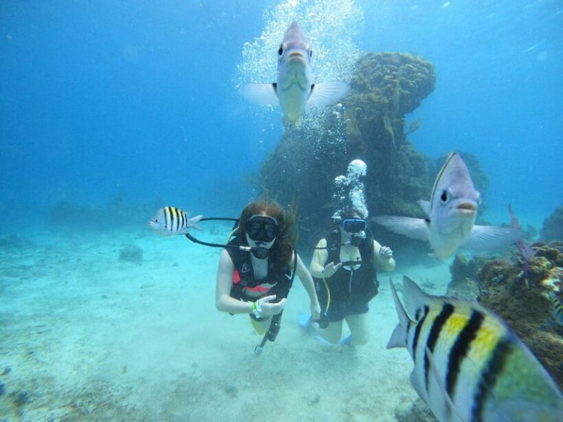 From Cozumel: Chankanaab Cozumel Scuba Diving - Guides and Service Quality