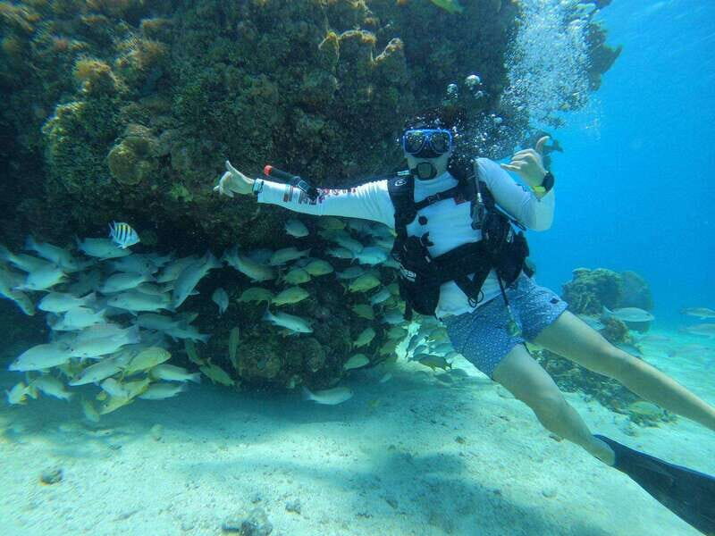 From Cozumel: Chankanaab Cozumel Scuba Diving - The Underwater Sights