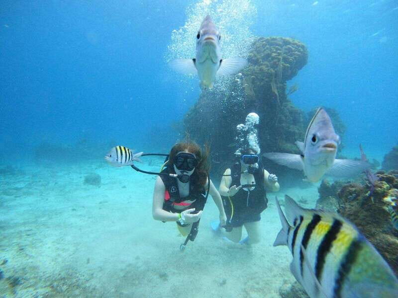 From Cozumel: Chankanaab Cozumel Scuba Diving - The Post-Dive Experience