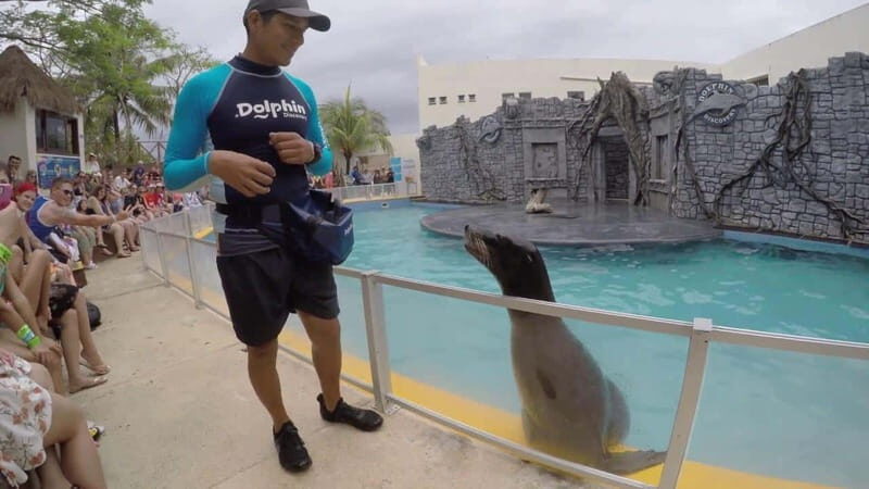 From Cozumel: Chankanaab Park Day pass with Open Bar & Lunch - An Authentic Day at Chankanaab Park: What to Expect