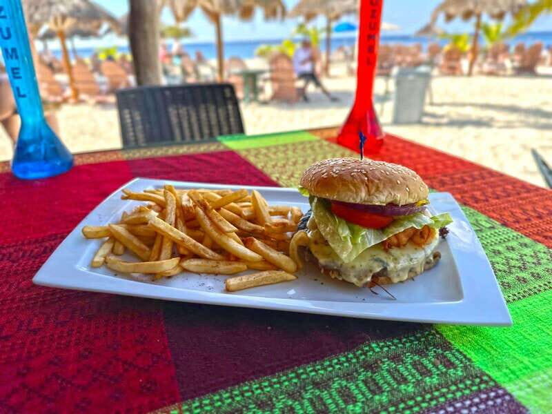 From Cozumel: Chankanaab Park Day pass with Open Bar & Lunch - Who Is This Tour Best For?