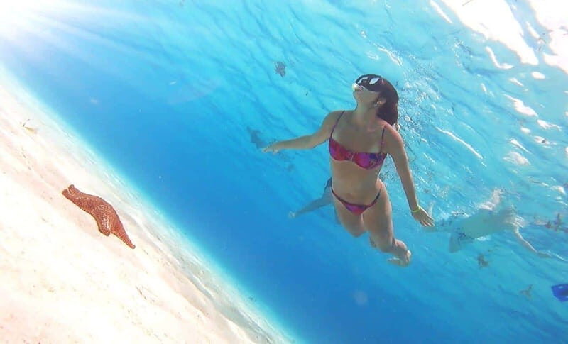 From Cozumel: El Cielo Beach by Catamaran Snorkeling Tour - Key Points