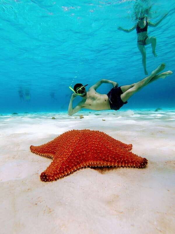 From Cozumel: El Cielo Beach by Catamaran Snorkeling Tour - FAQ