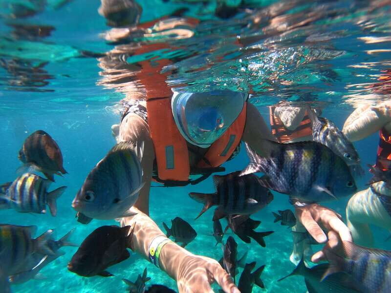 From Cozumel: Invisible Boat Snorkeling Tour - Final Thoughts: Is It Worth It?