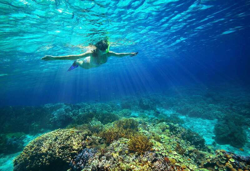From Cozumel: Snorkel Private Charter to el Cielo & Cielito - How Does the Cost Stack Up?