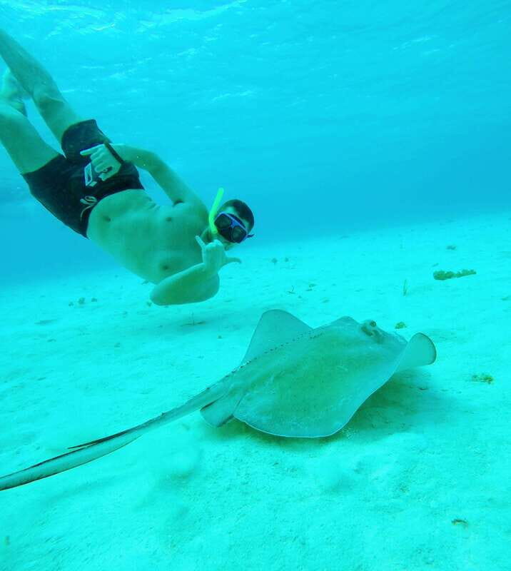 From Cozumel: Starfish, Stingrays and the Turtle Sanctuary - Key Points