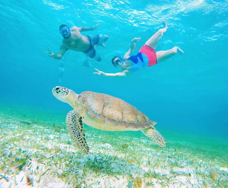 From Cozumel: Starfish, Stingrays and the Turtle Sanctuary - Highlights According to Travelers