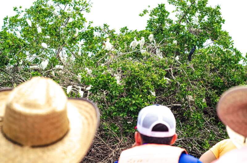From Crucecita: Ventanilla, Zipolite, and Puerto Ángel Tour - What’s Included and What You Should Budget For