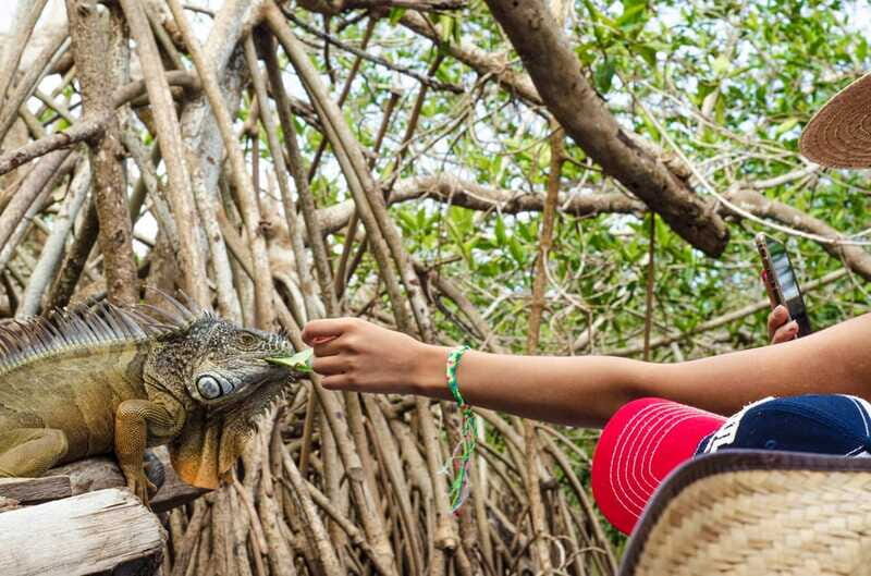 From Crucecita: Ventanilla, Zipolite, and Puerto Ángel Tour - The Bottom Line: Who Will Love This Tour?